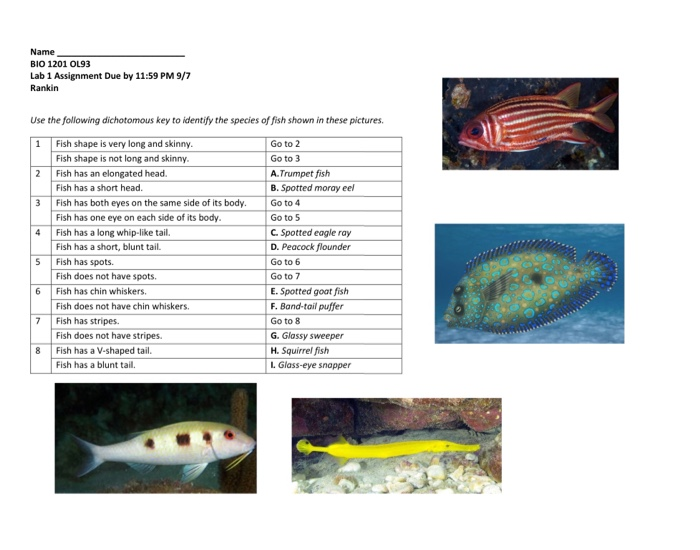 Solved Name BIO 1201 OL93 Lab 1 Assignment Due by 11:59 PM | Chegg.com