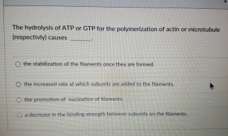Solved The hydrolysis of ATP or GTP for the polymerization | Chegg.com
