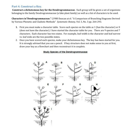 Solved Part 4. Construct a Key. Construct a dichotomous key | Chegg.com