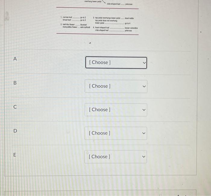 Use the key below to identify the plants. 1. serisen | Chegg.com