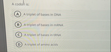 Solved A codon is:A triplet of bases in DNAA triplet of | Chegg.com