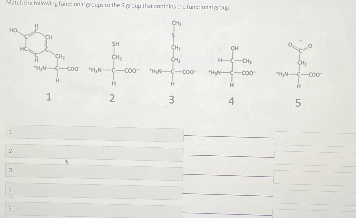 Match the following functional groups to the R ﻿group | Chegg.com