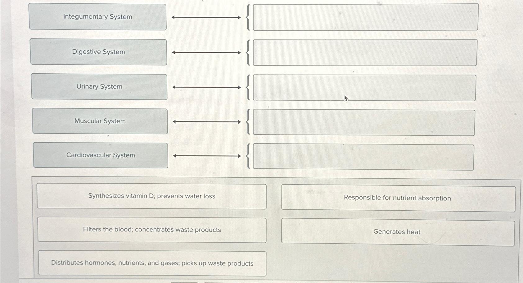 Solved Integumentary SystemDigestive SystemMuscular | Chegg.com