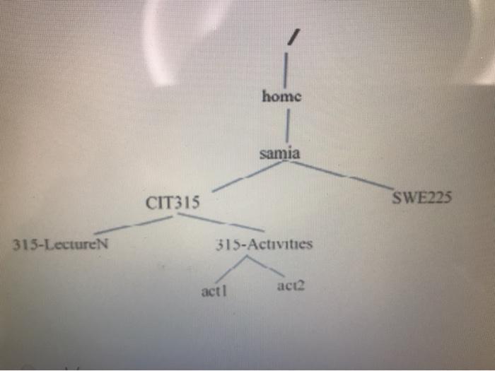 Solved homc samia CIT315 SWE225 315-LectureN 315-Activities | Chegg.com