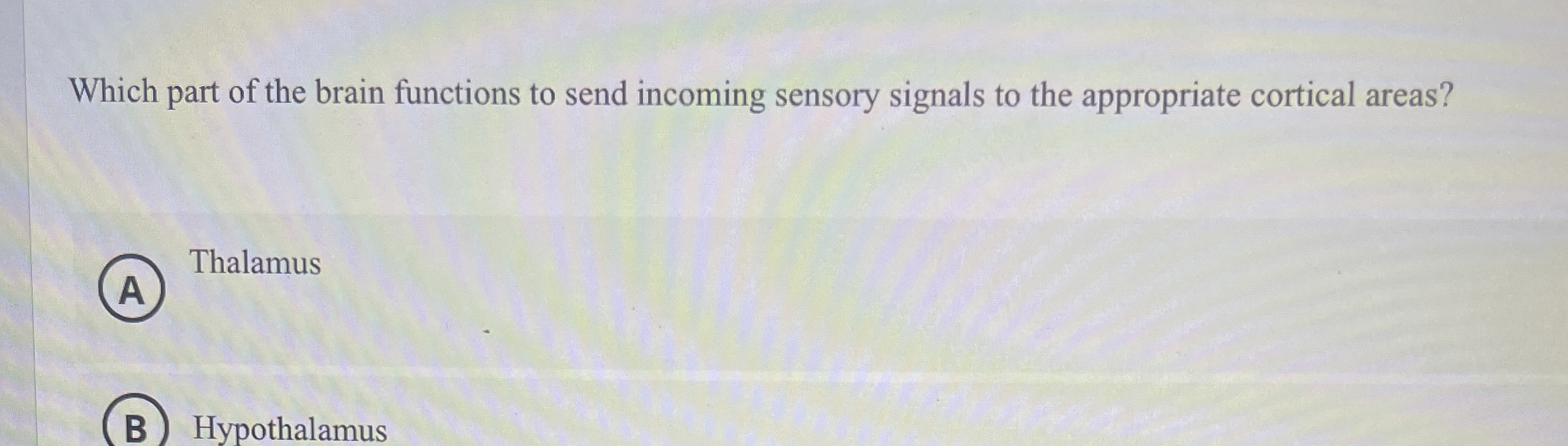 Solved Which part of the brain functions to send incoming | Chegg.com