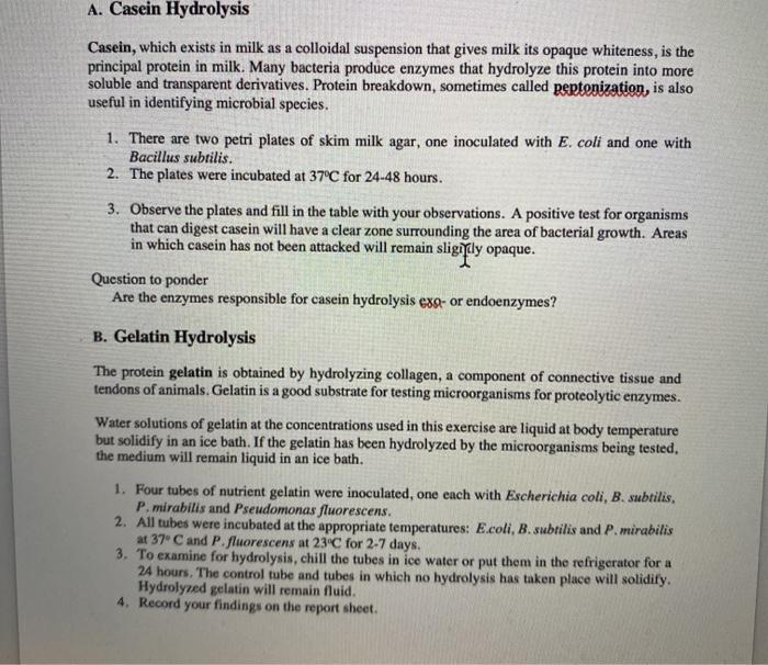 Solved A. Casein Hydrolysis Casein, which exists in milk as | Chegg.com