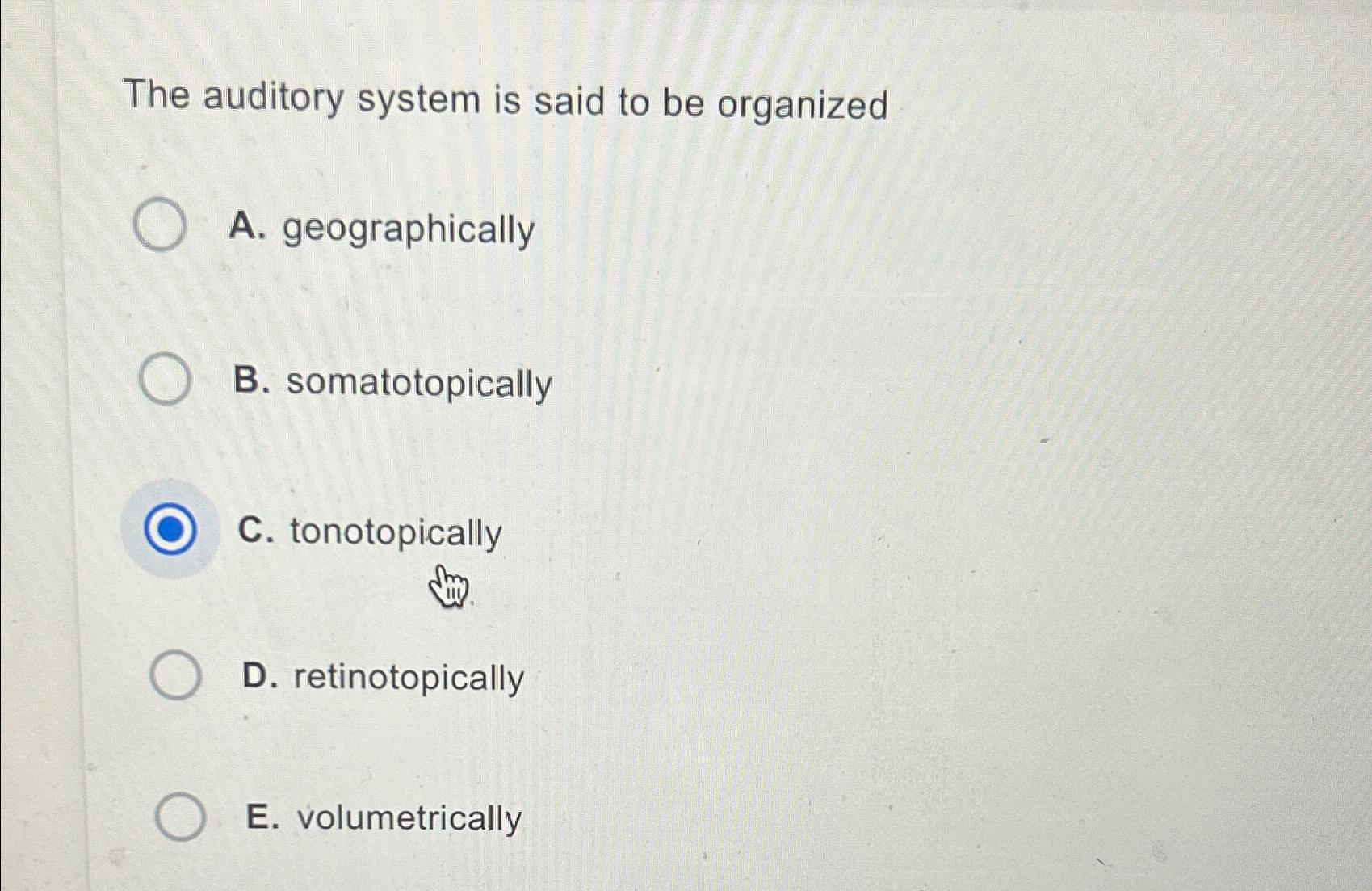 Solved The auditory system is said to be organizedA. | Chegg.com
