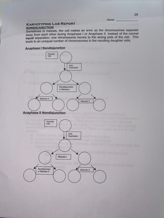 Solved Name: KARYOTYPING LAB REPORT NONDISJUNCTION Sometimes | Chegg.com