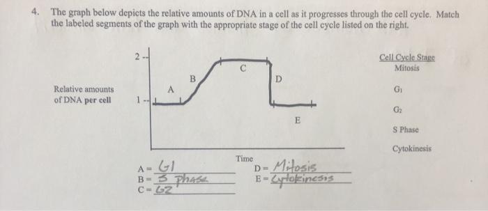 Solved 4. The graph below depicts the relative amounts of | Chegg.com