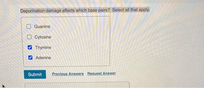 Solved Depurination damage affects which base pairs? Select | Chegg.com