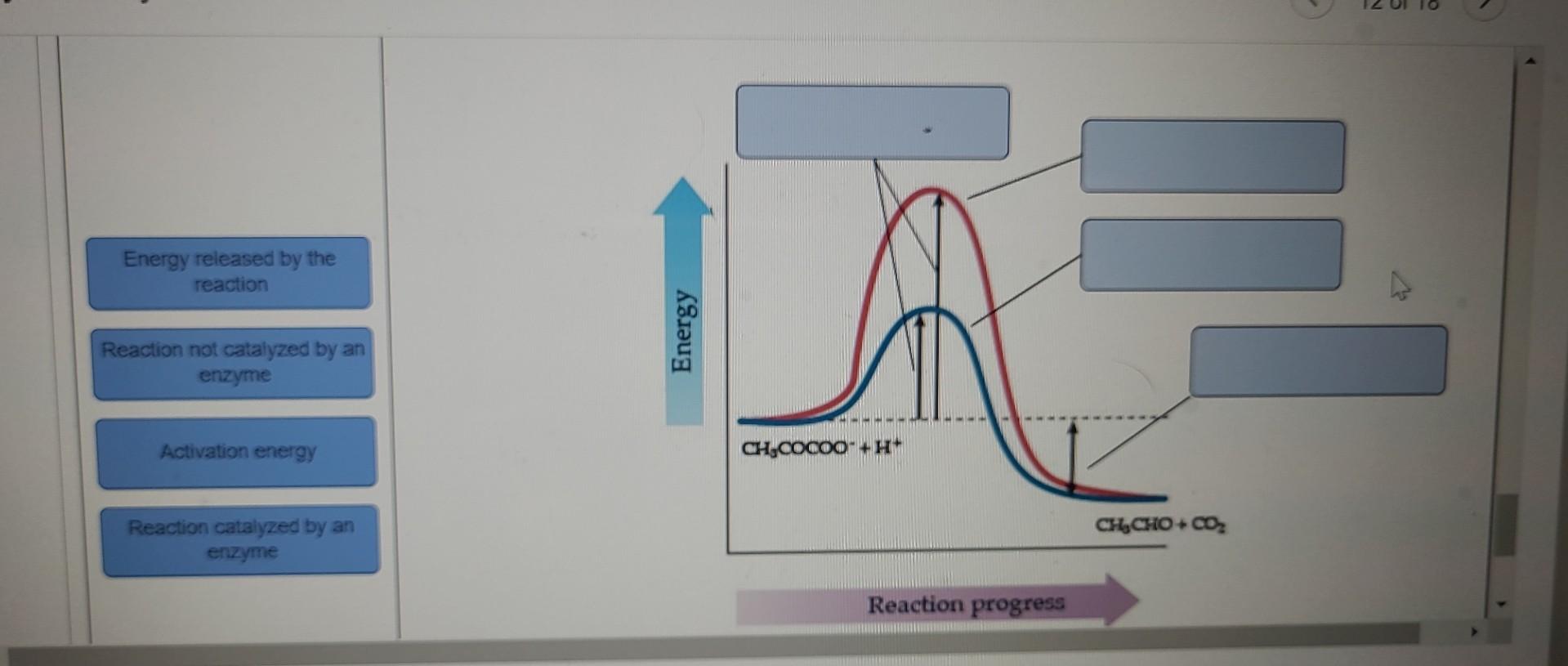Solved The general enzymatic reaction The general | Chegg.com