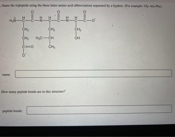 Solved Name the tripeptide using the three letter amino acid | Chegg.com