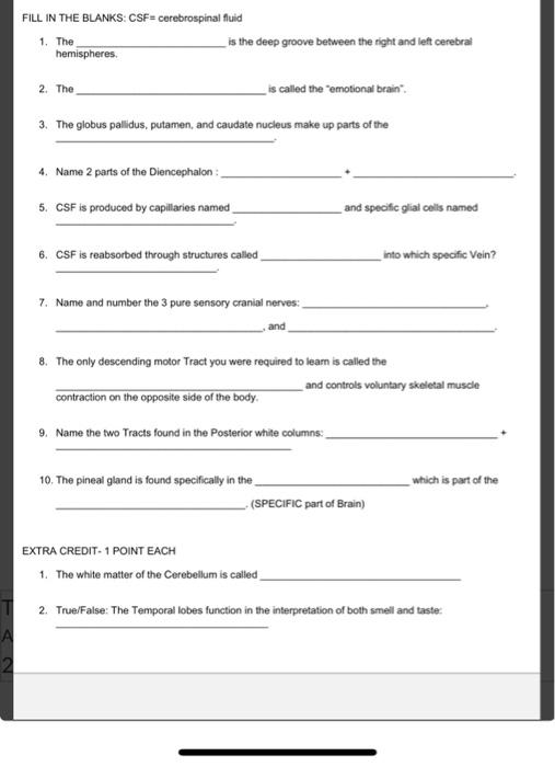 Solved FILL IN THE BLANKS: CSF= cerebrospinal fluid is the | Chegg.com