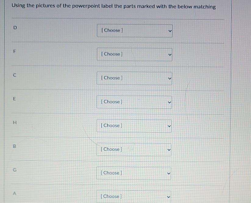 Solved Using the pictures of the powerpoint label the parts | Chegg.com
