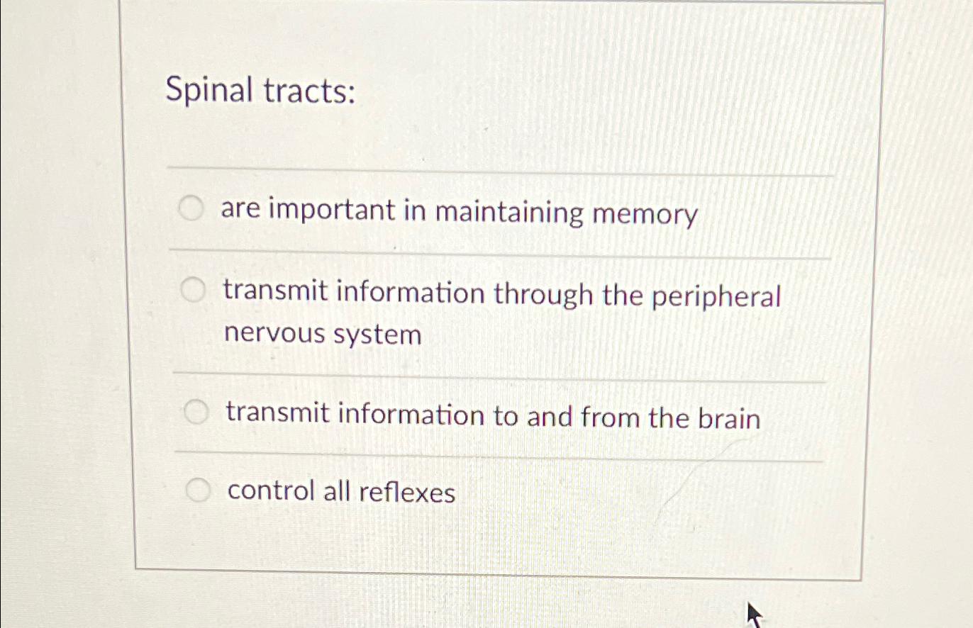 Solved Spinal tracts:are important in maintaining memory | Chegg.com