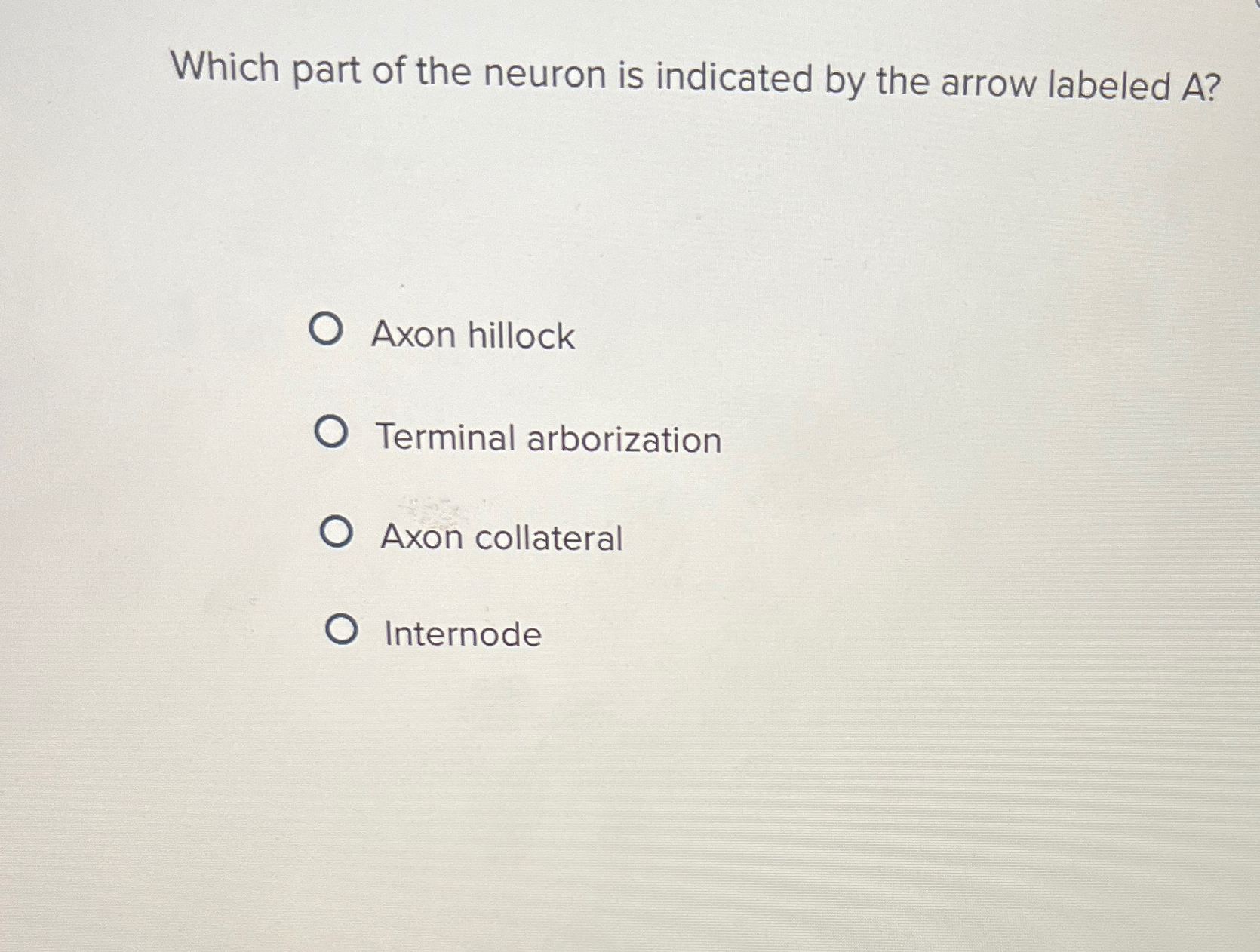 Which part of the neuron is indicated by the arrow | Chegg.com