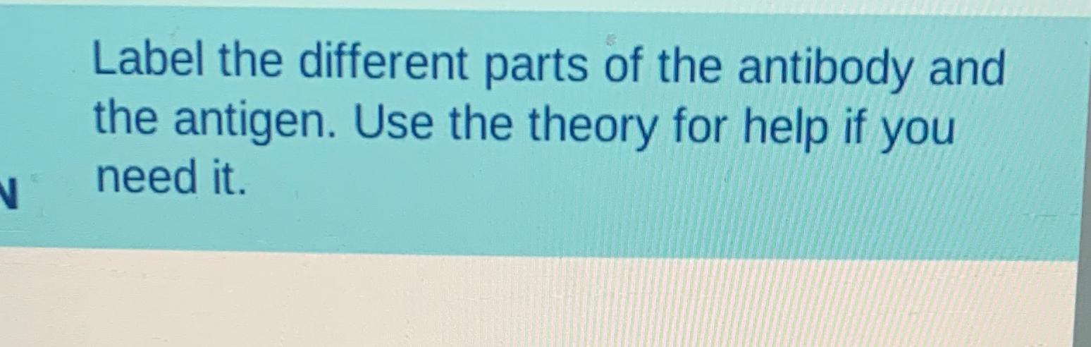 Solved Label the different parts of the antibody and the | Chegg.com Solved Label the different parts of the antibody and the | Chegg.com