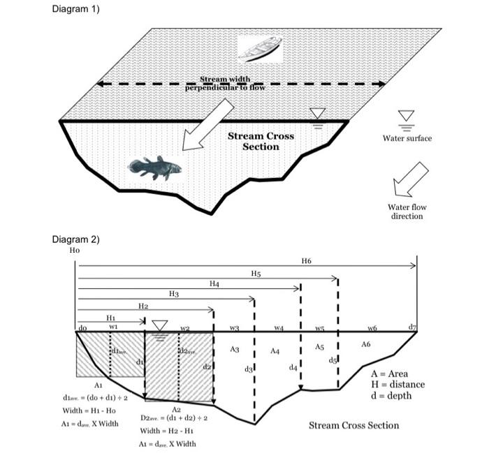 Solved Exercise #1) "Paper Stream" Discharge Measurement: a) | Chegg.com