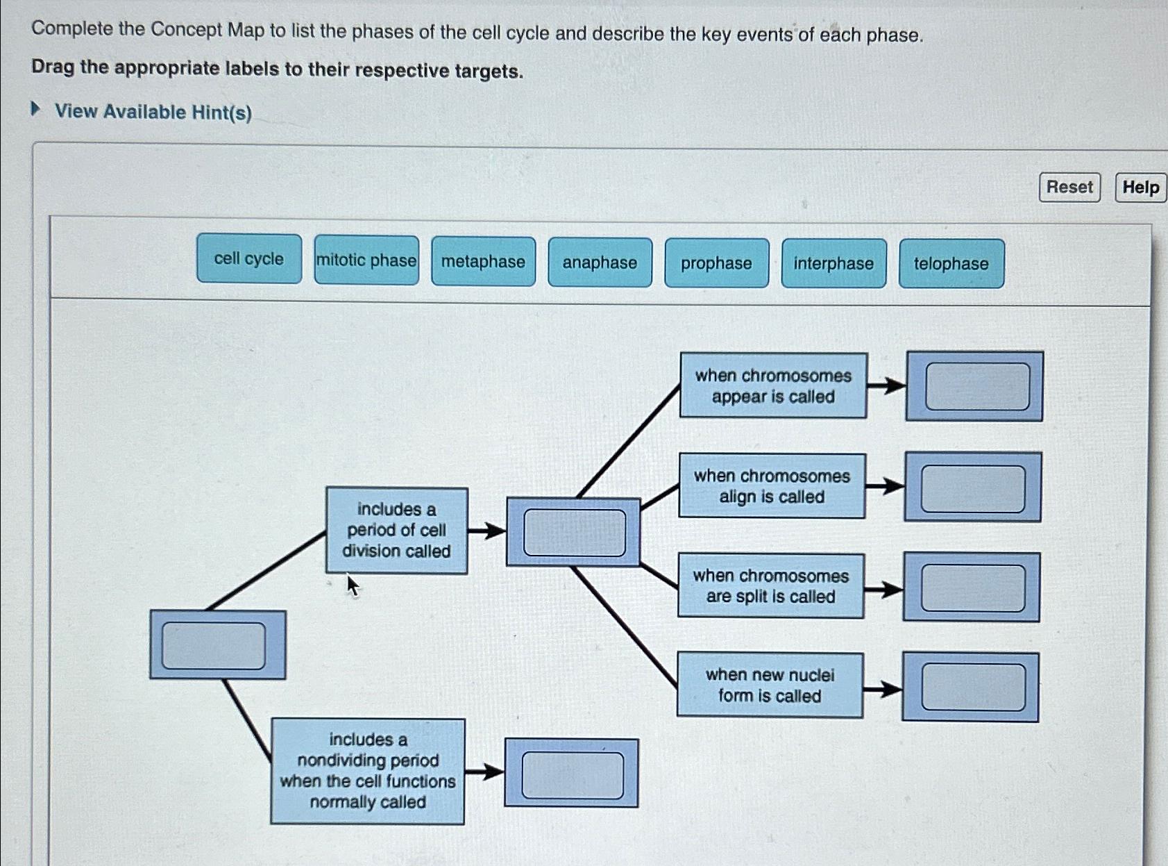 Solved Complete the Concept Map to list the phases of the | Chegg.com