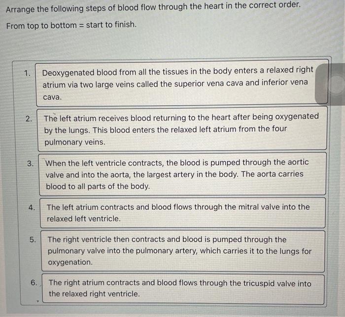 Solved Arrange the following steps of blood flow through the | Chegg.com