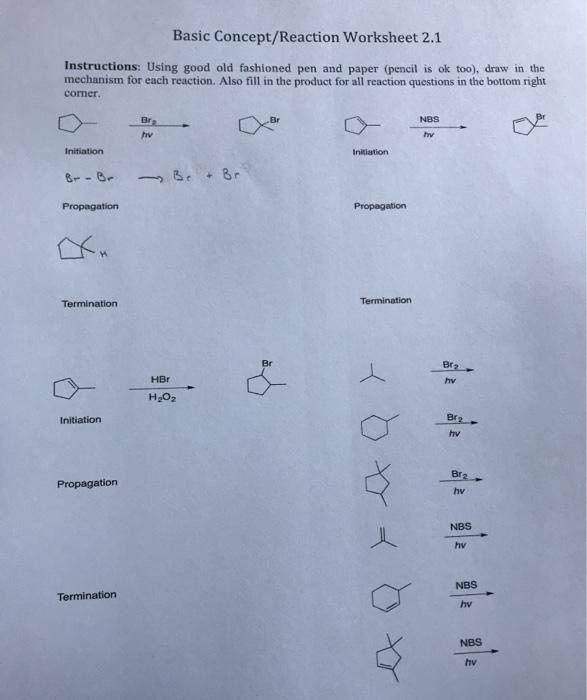 Solved Basic Concept/Reaction Worksheet 2.1 Instructions: | Chegg.com