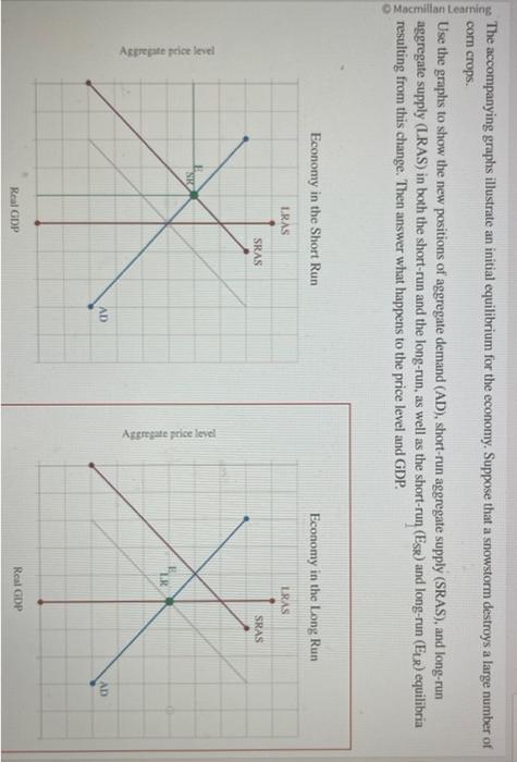 Solved The accompanying graphs illustrate an initial | Chegg.com