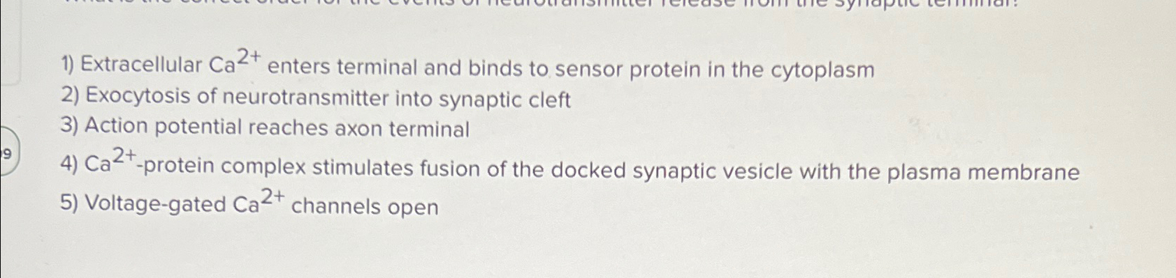 Solved Extracellular Ca2+ ﻿enters terminal and binds to | Chegg.com