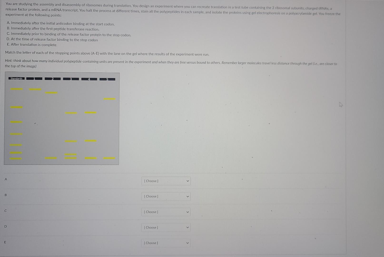 Solved experiment at the following points: A. Immediately | Chegg.com