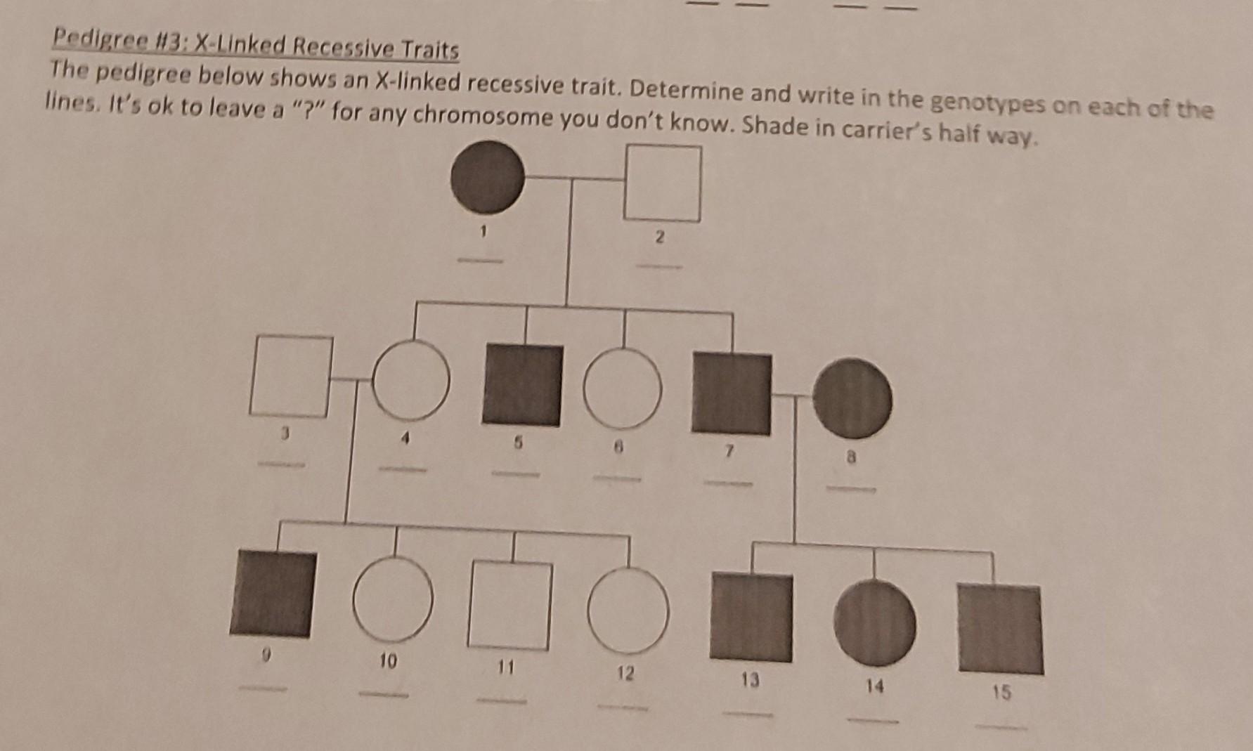 Solved Pedigree 173: X-Linked Recessive Traits The pedigree | Chegg.com