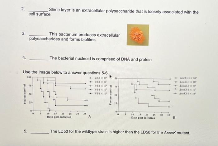 Solved 2. Slime layer is an extracellular polysaccharide | Chegg.com