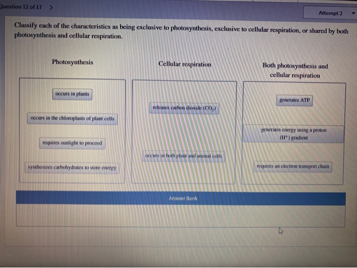 Solved Question 12 of 17 > Attempt 2 Classify each of the | Chegg.com
