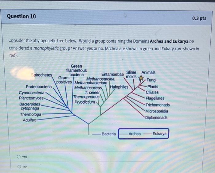 Solved Consider the phylogenetic tree below. Would a group | Chegg.com