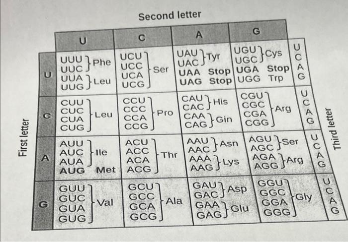Solved Use the DNA code to create the mRNA code. Use the | Chegg.com