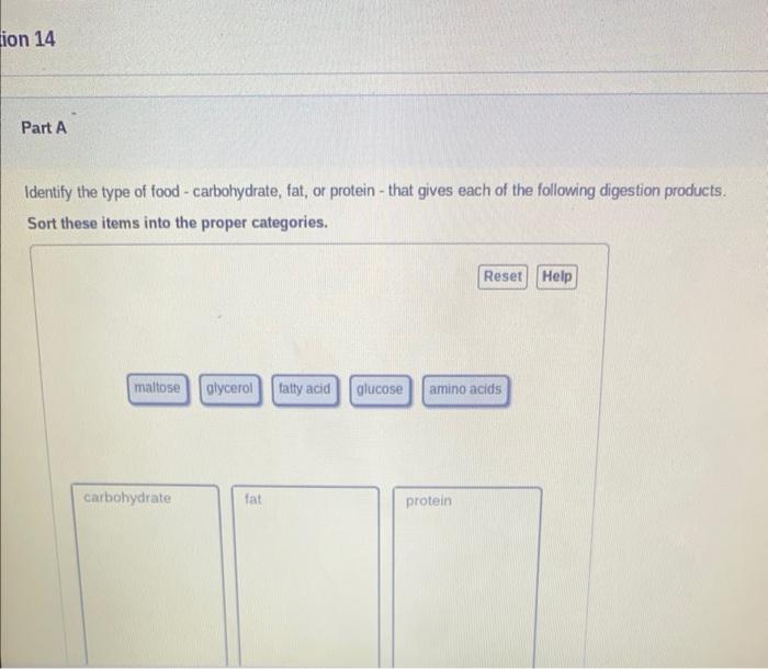 Solved Identify the type of food - carbohydrate, fat, or | Chegg.com