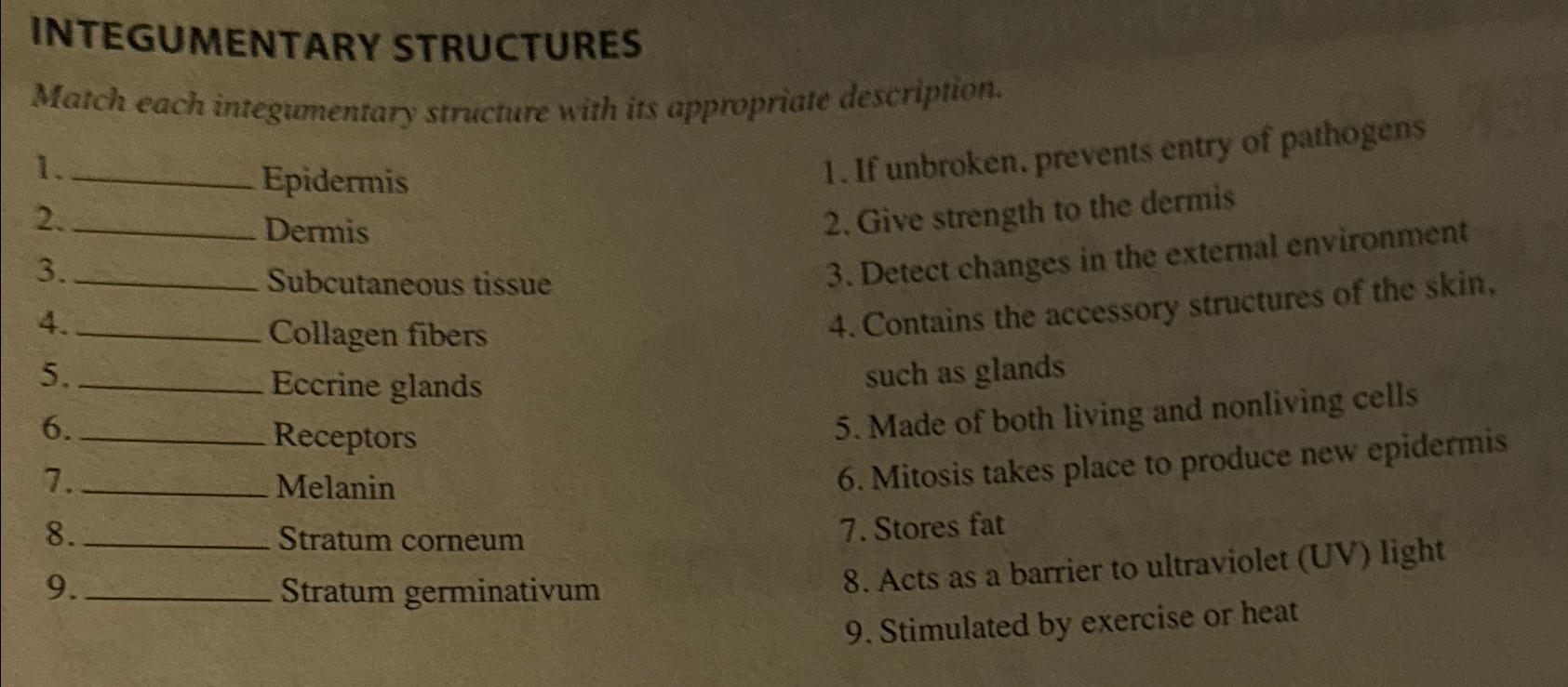 Solved INTEGUMENTARY STRUCTURESMatch each integimentary | Chegg.com