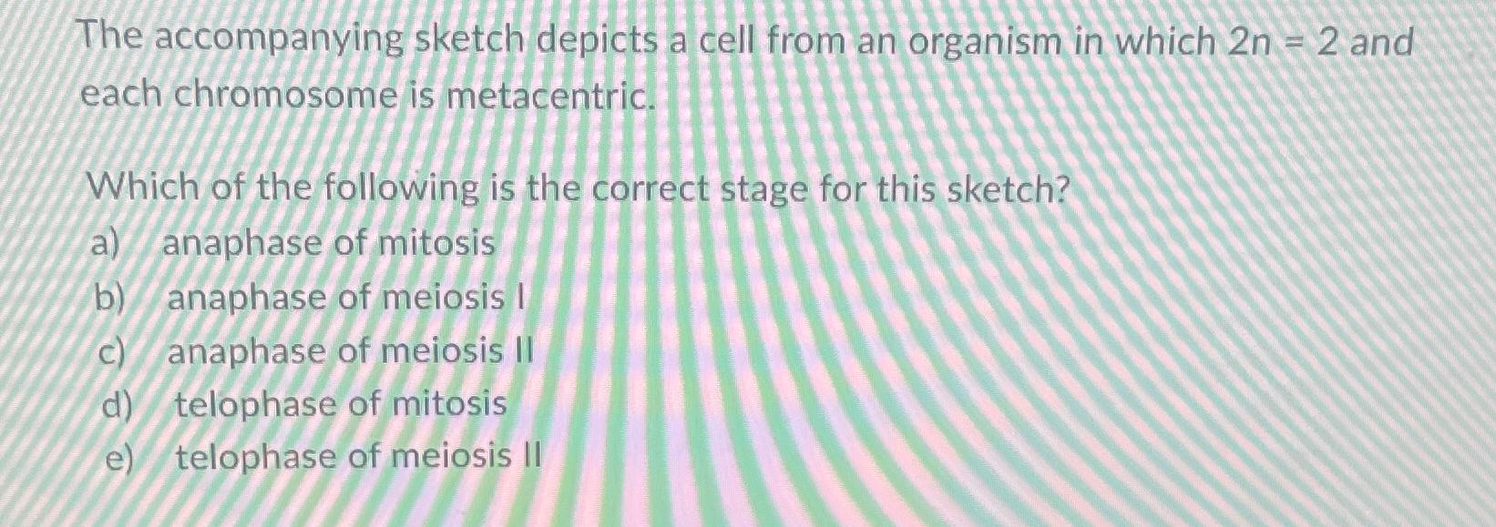 The accompanying sketch depicts a cell from an | Chegg.com