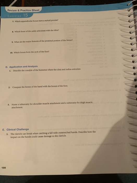 Solved Review & Practice Sheet Exercise 15 7. Which | Chegg.com
