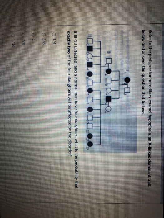 Solved Refer to the pedigree for hereditary enamel | Chegg.com