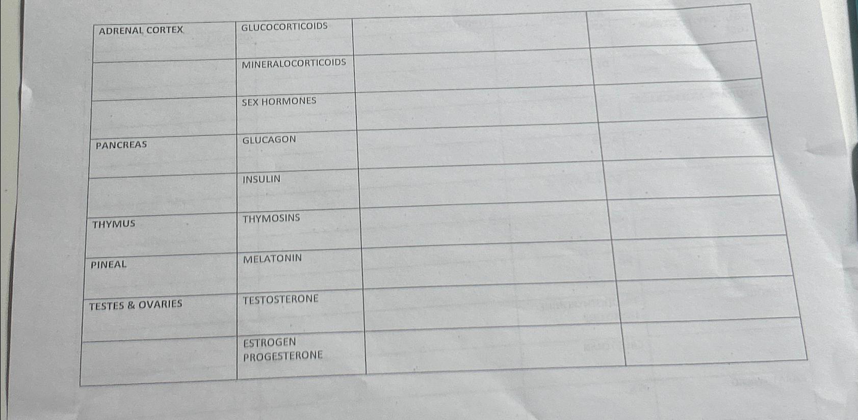 Solved Endocrine System Table 8763