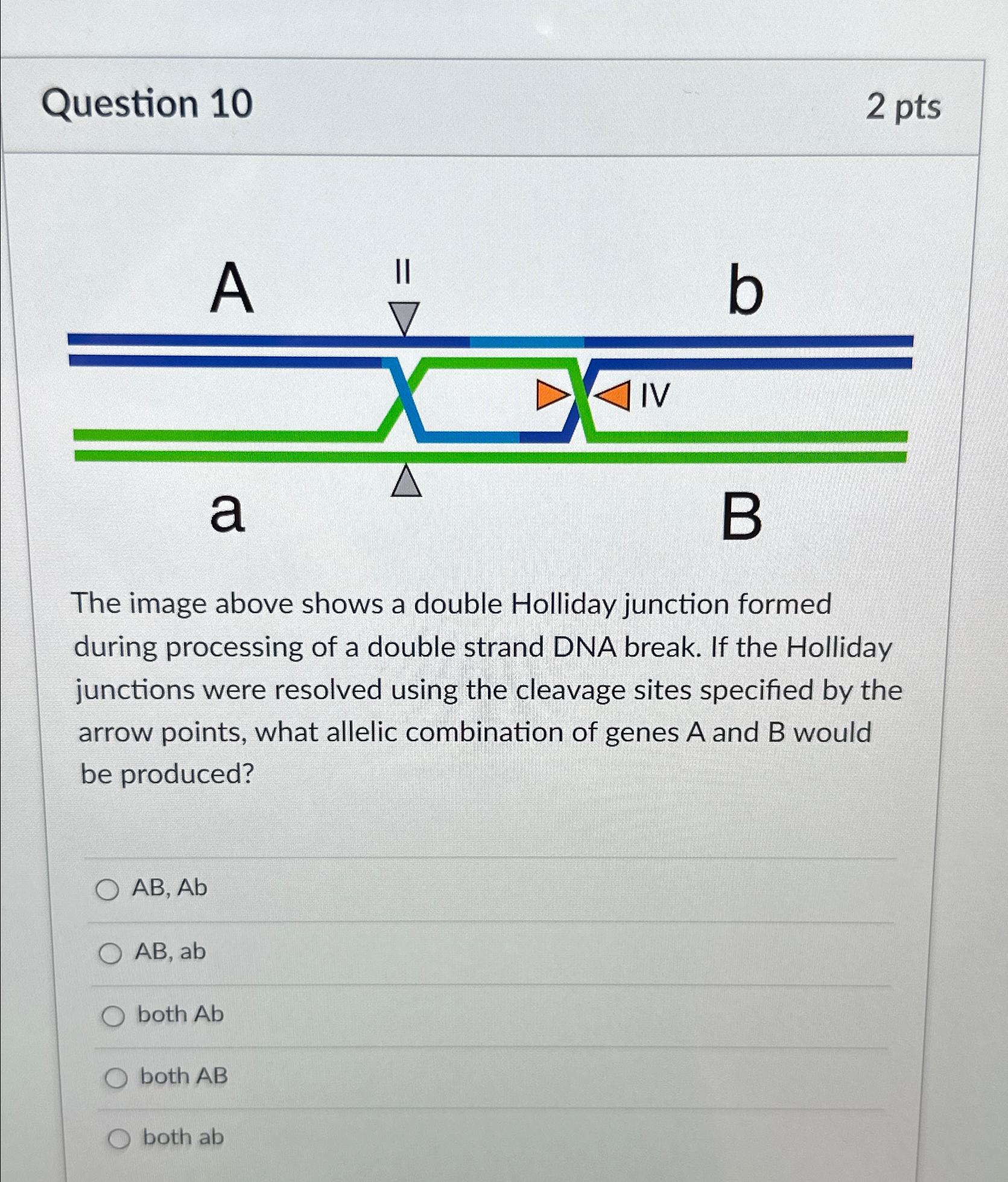 Solved Question 102 ﻿ptsThe image above shows a double | Chegg.com