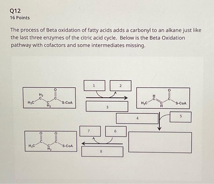Solved Q12.1 8 Points Based on your knowledge of how living | Chegg.com
