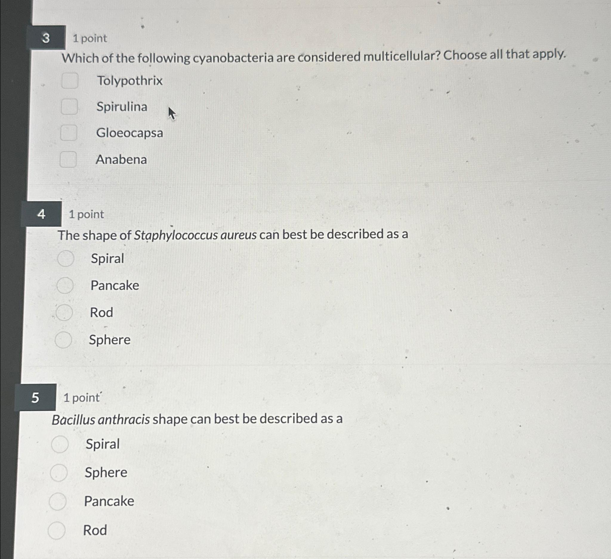 Solved 31 ﻿pointWhich of the following cyanobacteria are | Chegg.com