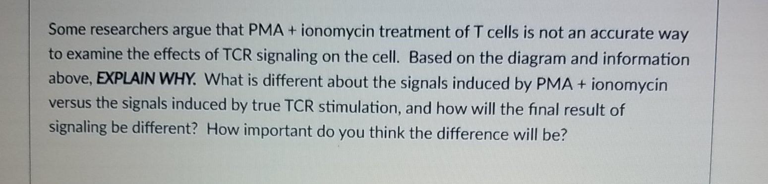 Solved Some researchers argue that PMA + ionomycin treatment | Chegg.com