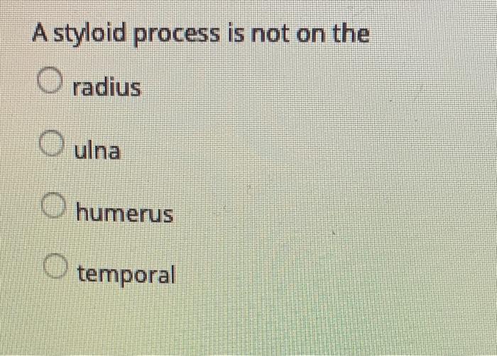 Solved A styloid process is not on the radius ulna humerus | Chegg.com