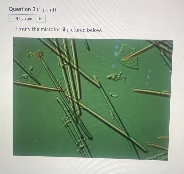 Solved Identify the microfossil pictured | Chegg.com