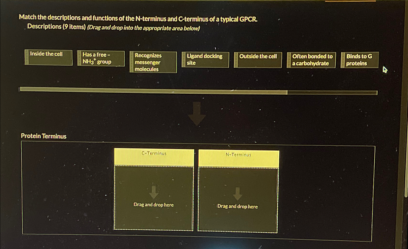 Solved Match the descriptions and functions of the | Chegg.com
