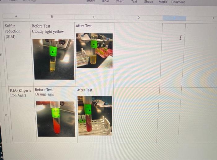 Solved w Zoom Add Page Insert Table Chart Text Shape Media | Chegg.com