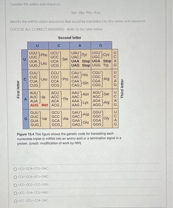 Solved Consider the amino acid sequence: Ser-Ala-Pro-Asp | Chegg.com