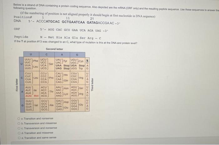 Solved Below is a strand of DNA containing a protein coding | Chegg.com