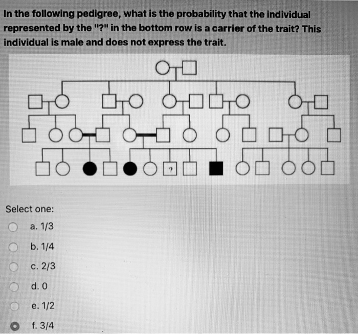 Solved In the following pedigree, what is the probability | Chegg.com